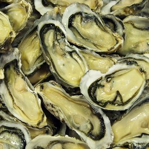 Scallop's, Oyster's, Mussels, Shellfish & Kina Archives - Page 2 of 3 ...