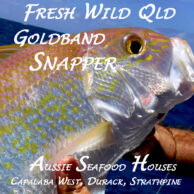 Queensland Fresh Red Snapper - Capalaba Aussie Seafood House