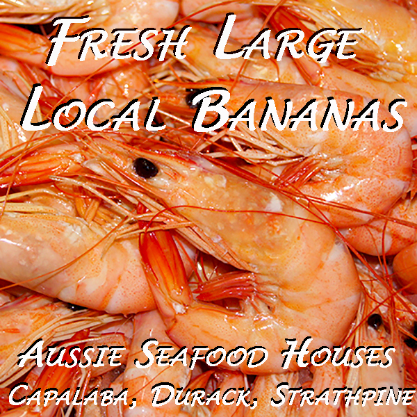 Fresh Wild Caught Queensland Prawn's & Crab's Archives - Capalaba ...