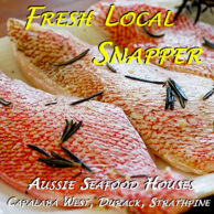 Fresh Wild Caught Red Snapper Fillets - Capalaba Aussie Seafood House