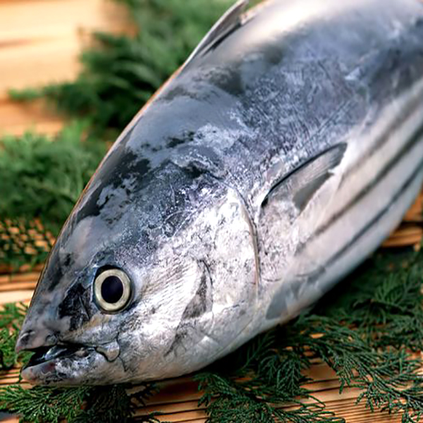 Fresh Whole Fish Archives - Page 4 of 4 - Capalaba Aussie Seafood House