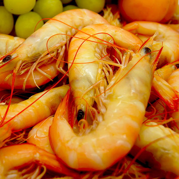 Fresh Wild Caught Queensland Prawn's & Crab's Archives - Capalaba ...