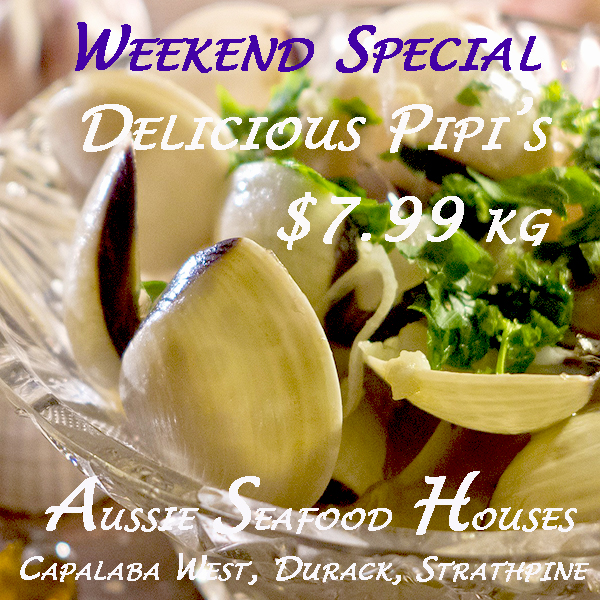 Pipi's..Clam...Wild Caught - Capalaba Aussie Seafood House