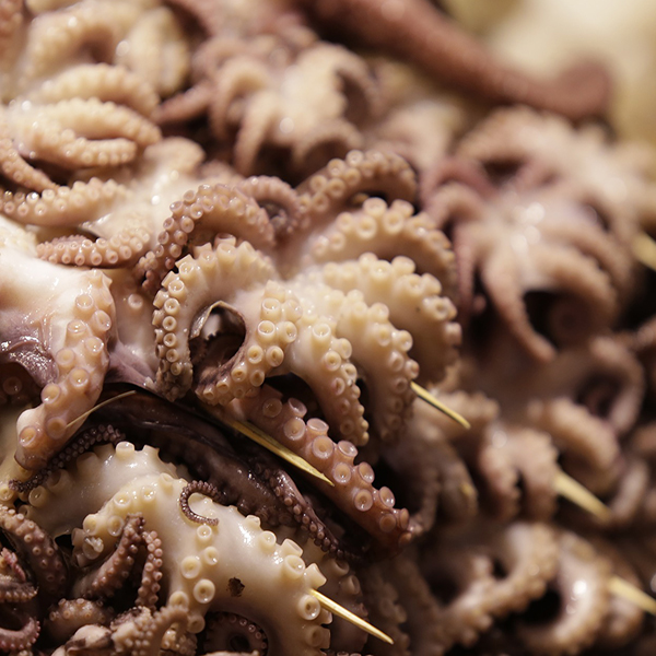 Octopus Baby - Capalaba Aussie Seafood House