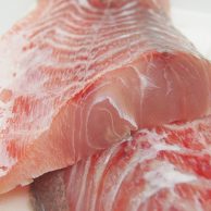 Barramundi Malay Curry - Capalaba Aussie Seafood House