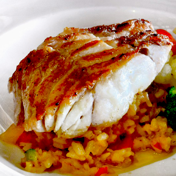 Barramundi Fresh Wild Caught QLD - Capalaba Aussie Seafood House