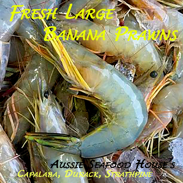 Fresh Wild Caught Queensland Prawn's & Crab's Archives - Capalaba ...