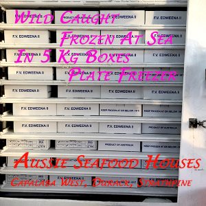 Frozen at Sea Plate Freezer 6x6 ash - Capalaba Aussie Seafood House