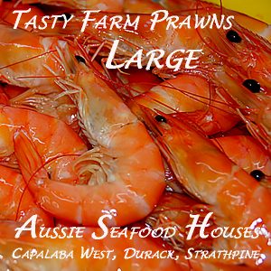 Fresh Wild Caught Queensland Prawn's & Crab's Archives - Capalaba ...