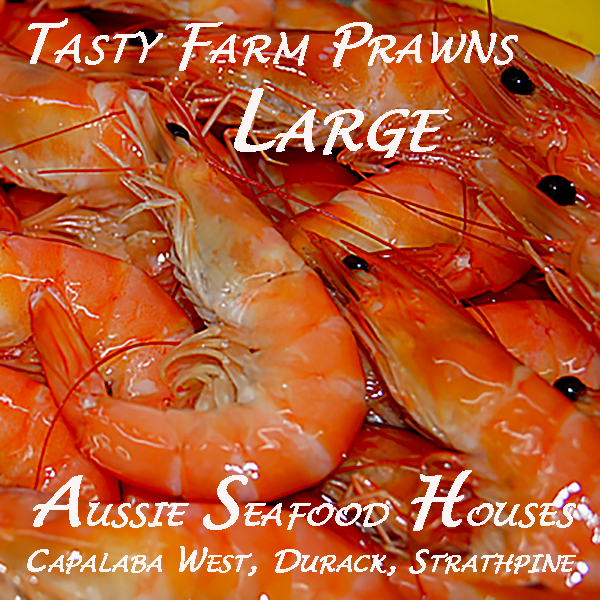 Fresh Wild Caught Queensland Prawn's & Crab's Archives - Page 2 of 3 ...