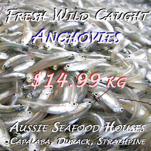Products Archive - Capalaba Aussie Seafood House